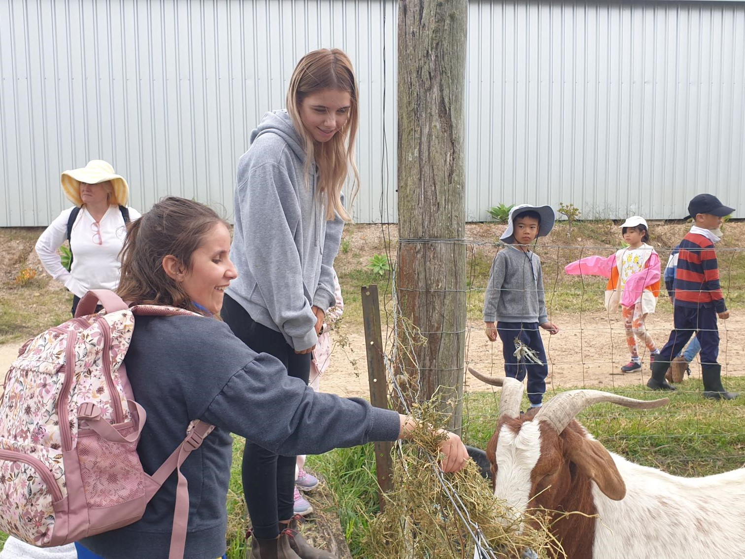 Sahara NDIS School Holiday Program – Hornsby, Hills District, Sydney ...