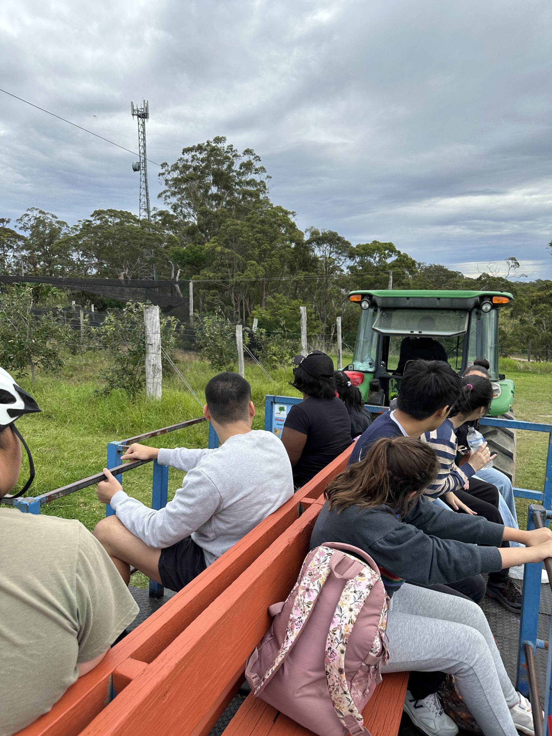 Sahara NDIS School Holiday Program – Hornsby, Hills District, Sydney ...